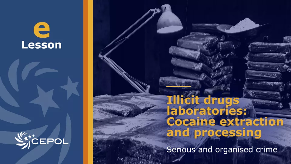 eLesson: Illicit drugs laboratories - Cocaine extraction and processing ...