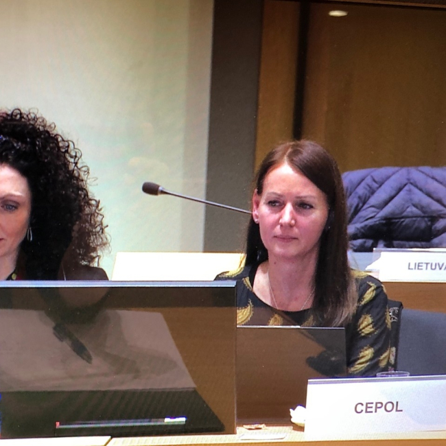 CEPOL's Head of Operations attended a COSI meeting | CEPOL