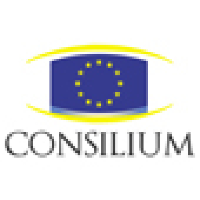 Council conclusions on the Commission communication on the European ...