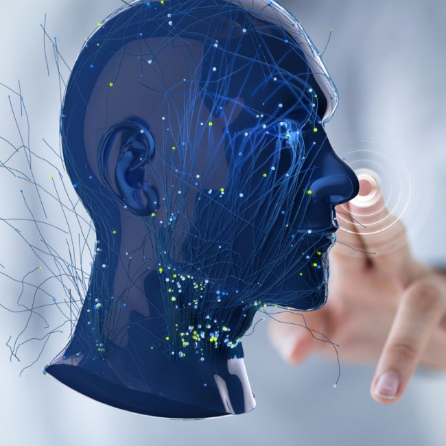 3055/2024/WEB 'Lawful and unlawful profiling - police stops and ...