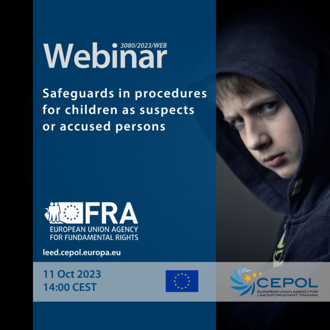 3080/2023/WEB 'Safeguards in procedures for children as suspects or ...