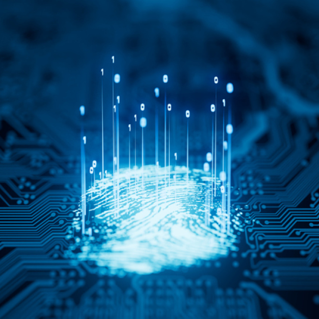 39/2024/ONS: Live Data Forensics – Train the Trainer | CEPOL