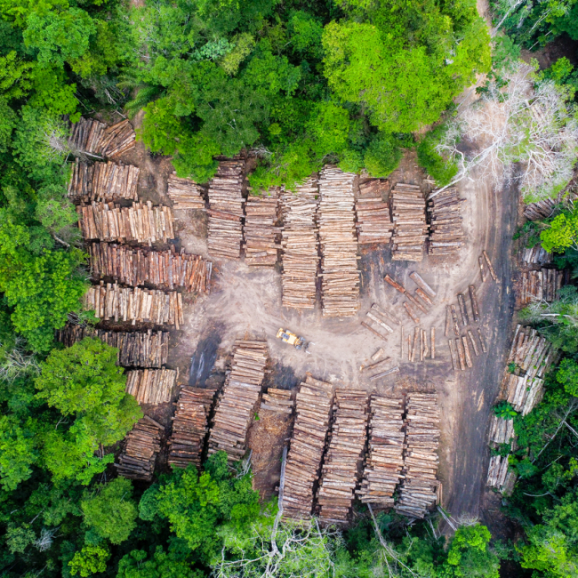 3072/2025/WEB ‘The new European Environmental Crime Directive (ECD ...