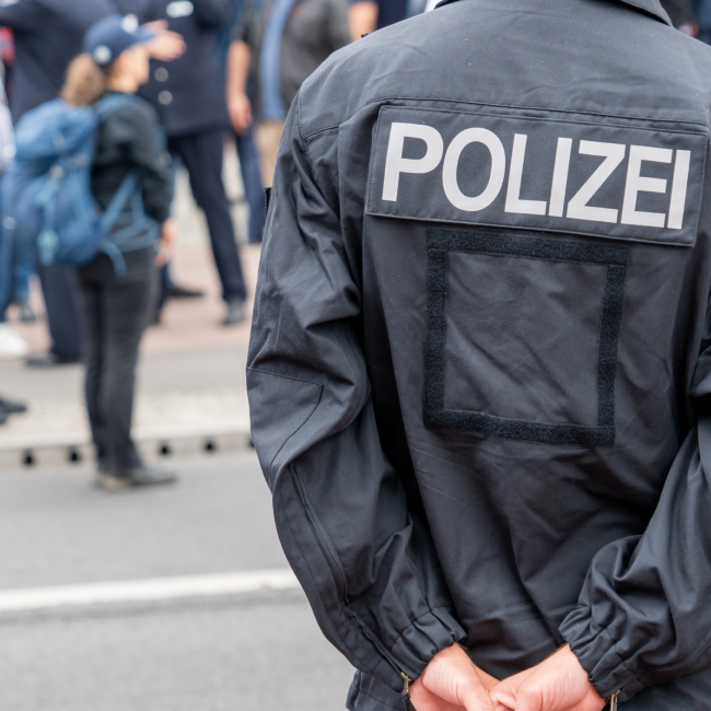 3069/2025/WEB ‘Management of violent public protests - fundamental ...