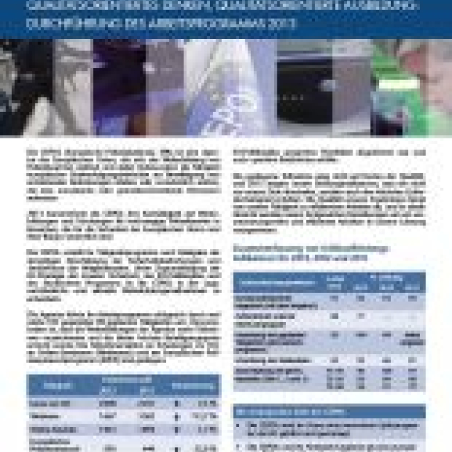 Summary of the Annual Report 2013 - DE | CEPOL